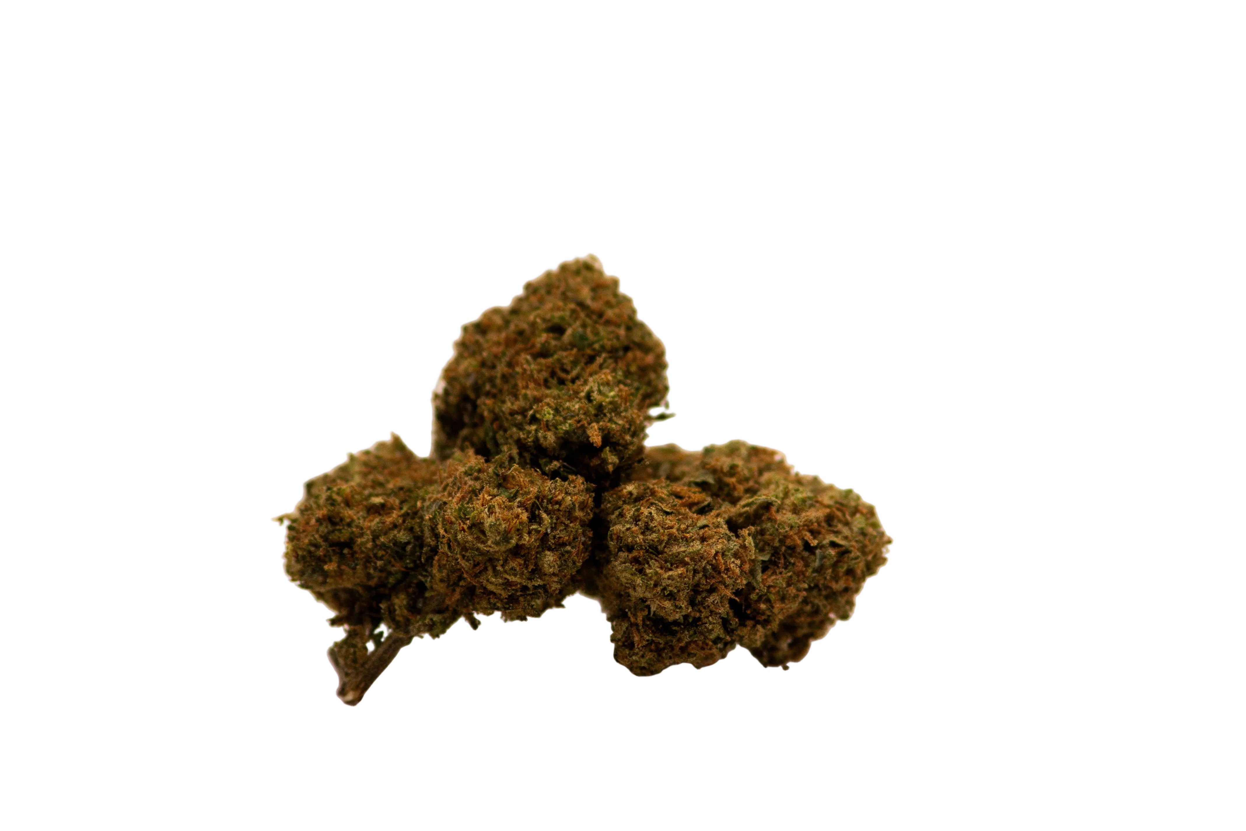 HARLEQUIN HIGH EFFECT – Maison Maryjane